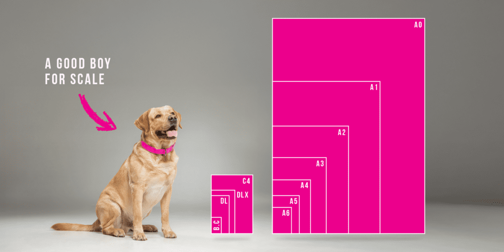 Paper Size Guide: A0, A1, A2, A3, A4, A5, A6, DL & more | ctrlPrint